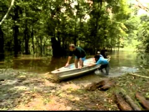 Anaconda, la gran serpiente del Amazonas - Documentales Online