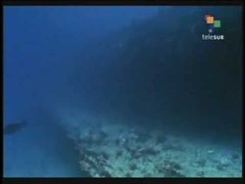 Galápagos - Las encantadas y sus encantados - Documentales Online
