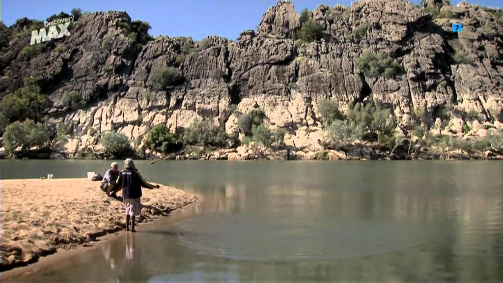 Monstruos del Río - Pez sierra - Documentales Online