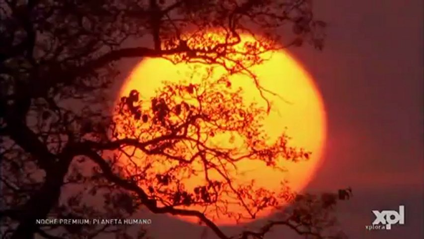 Planeta Humano 06 - Praderas - Documentales Online